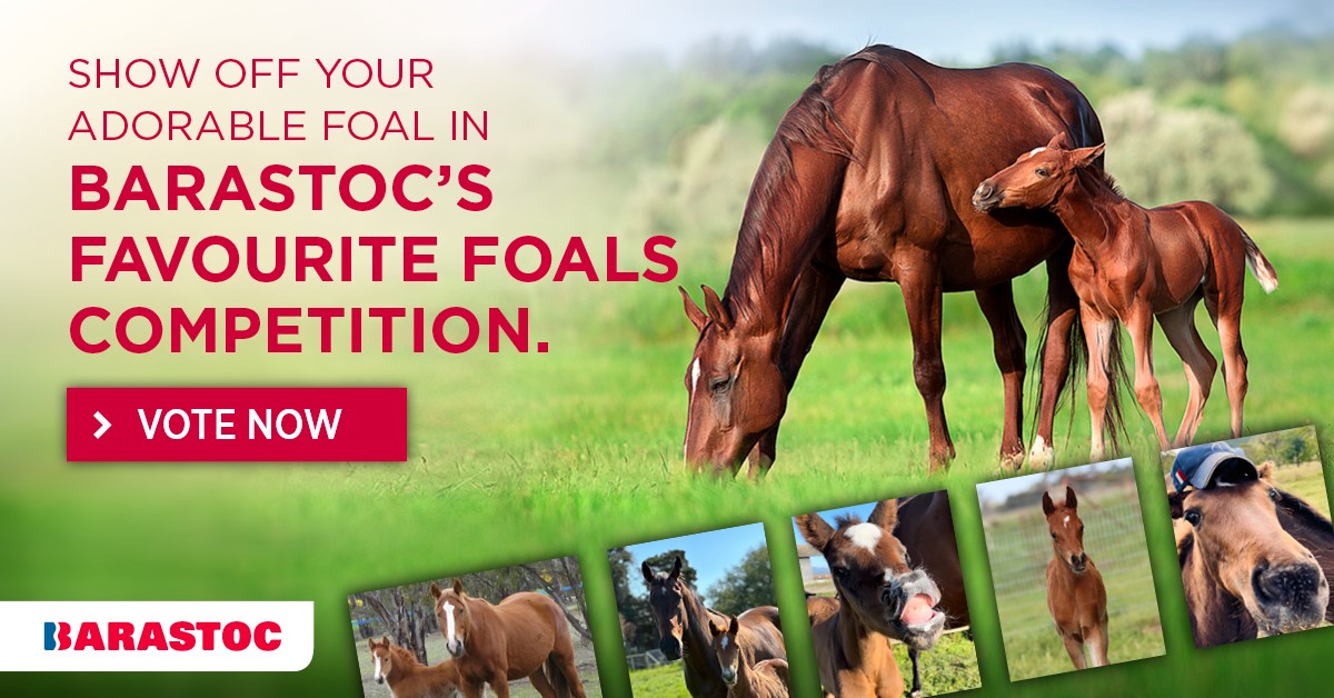 Foaling Date Calculator - HorseRecords