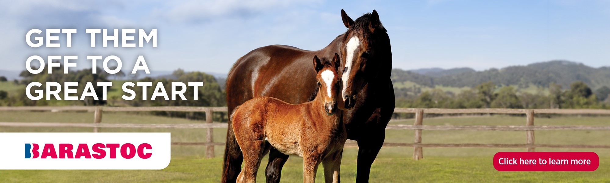 Foaling Date Calculator - HorseRecords