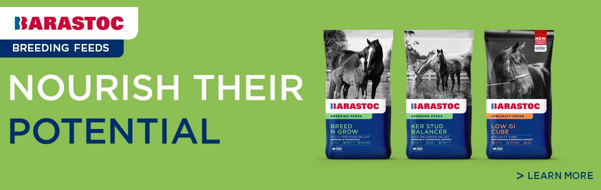 Foaling Date Calculator - HorseRecords